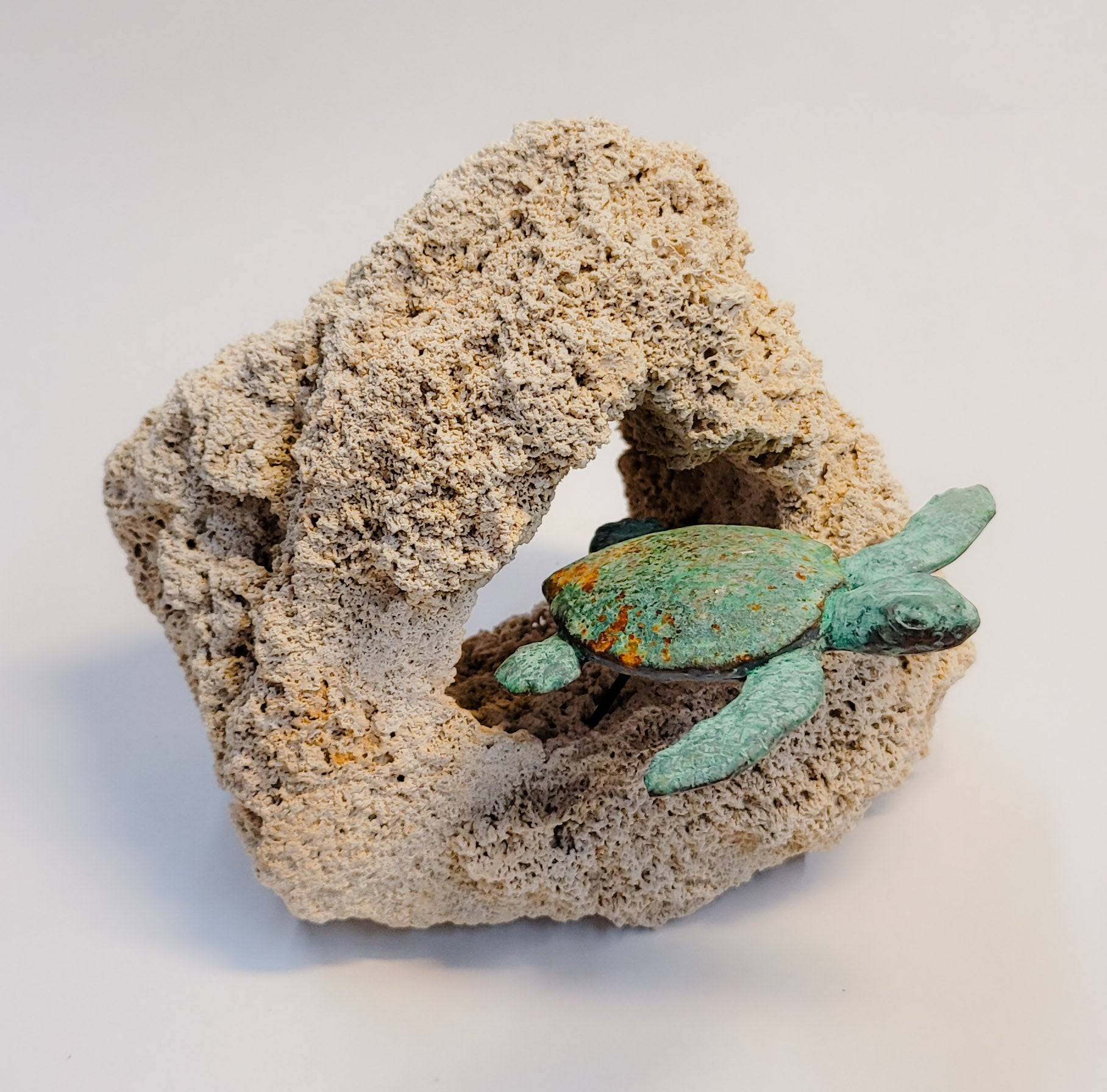 Marine Life Art by Dave C Reynolds – Dave C Reynolds Fine Art